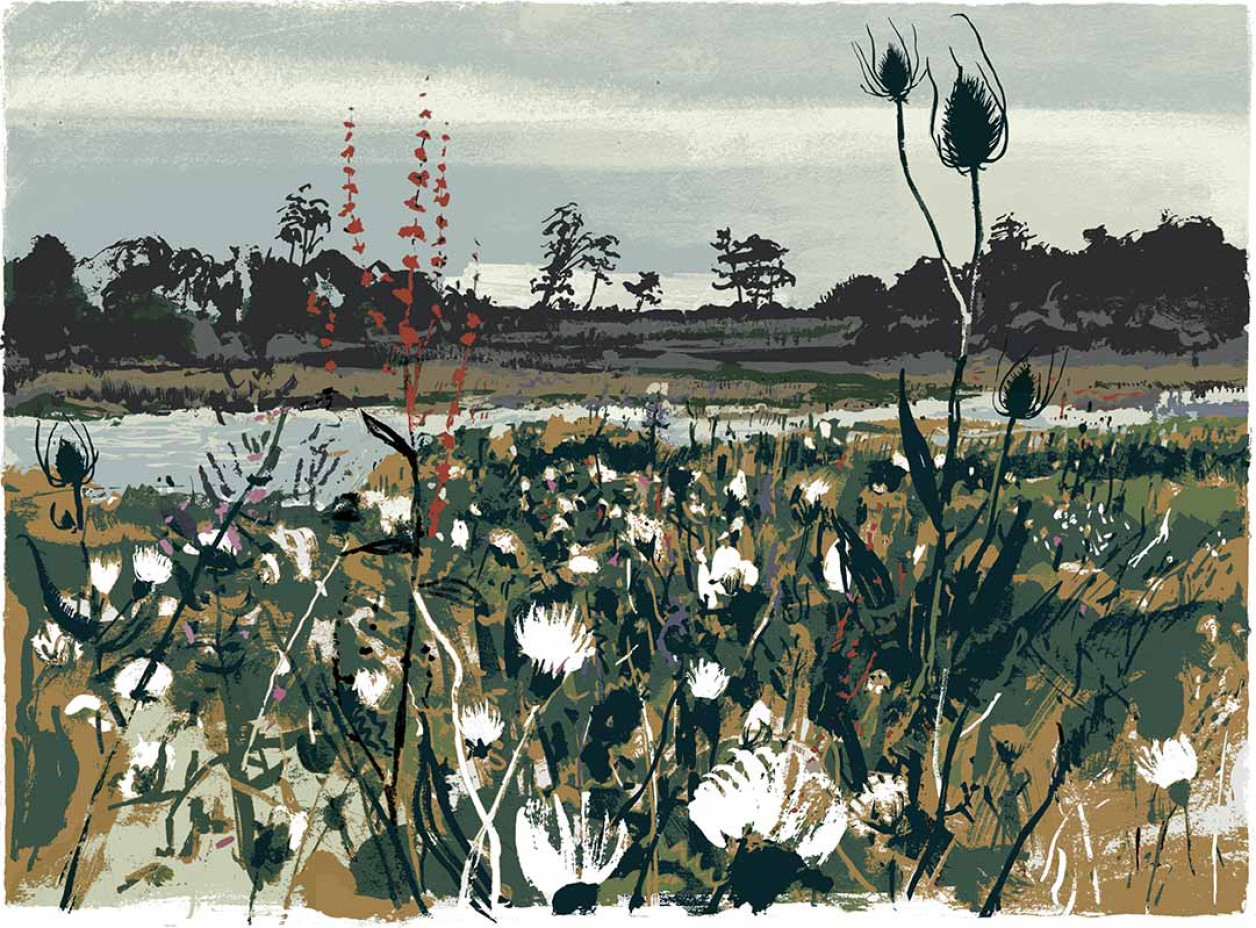 Wetlands 2 - Andy Lovell artist printmaker