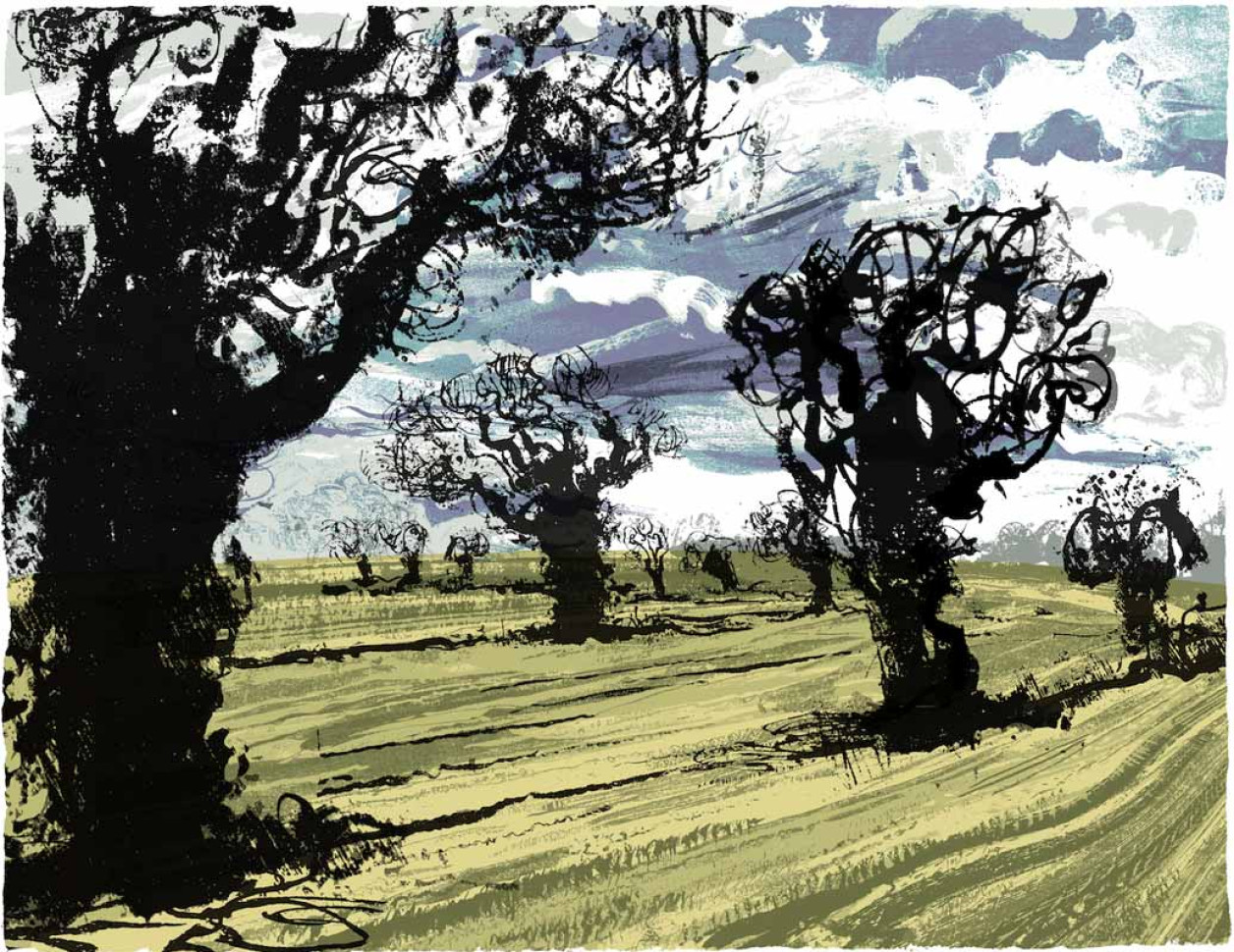 Wild Trees Norfolk - Andy Lovell artist printmaker