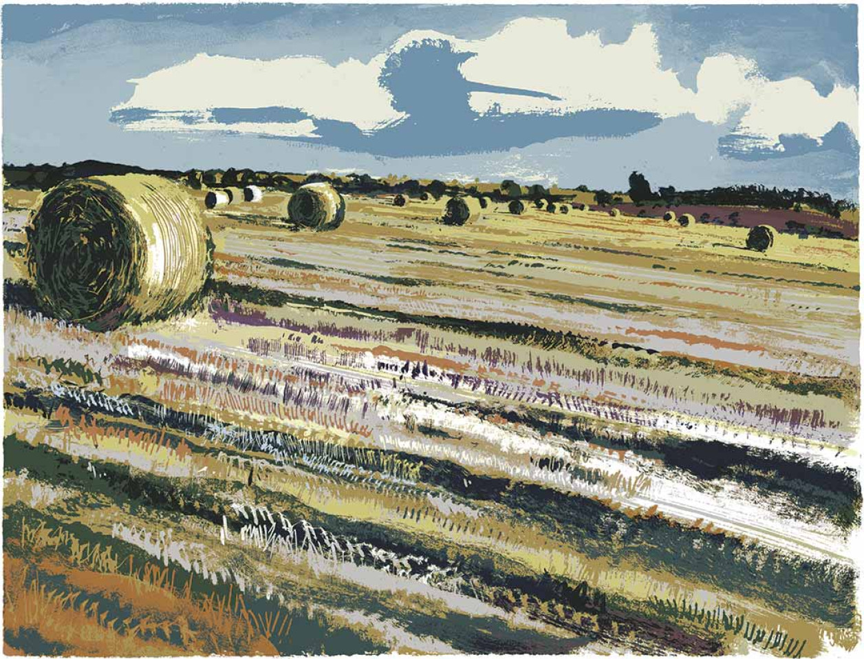 Cornfield - Andy Lovell artist printmaker